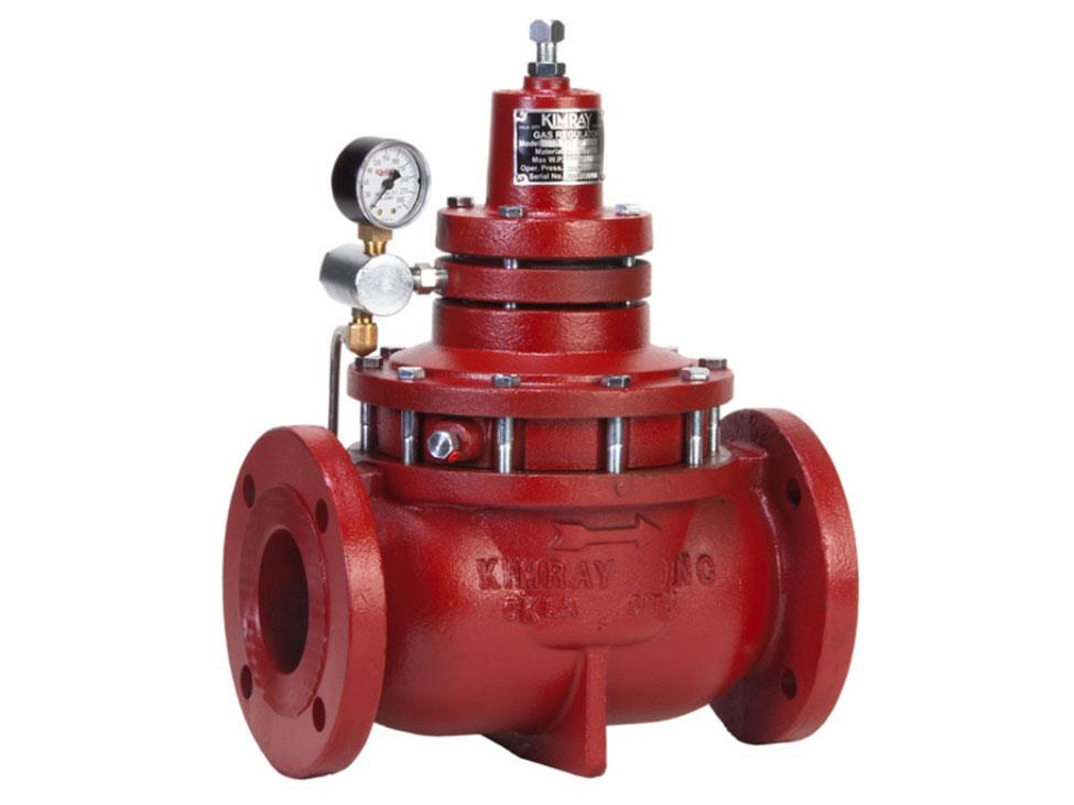 3 In Back Pressure Regulator Class 150 RF DI - Upstream